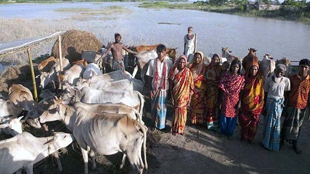 Char households escaping floods effectively on raised plinths ...