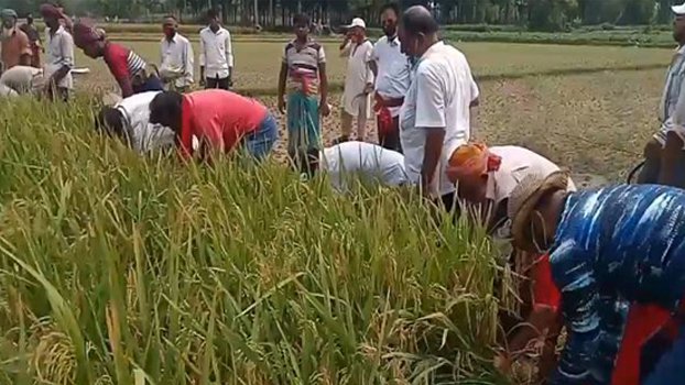 Krishak League stands by farmers in Chuadanga - Bangladesh Post
