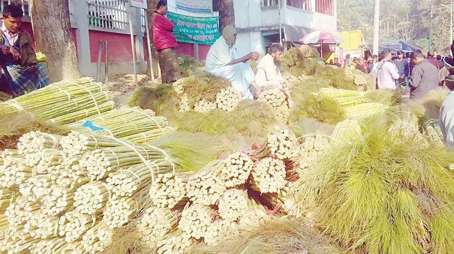 ‘Broom flowers’ of Sitakunda hills find market in ME - Bangladesh Post