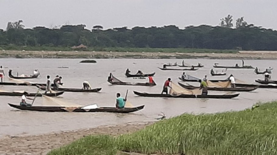 Indigenous fishes spawn in Halda river - Bangladesh Post