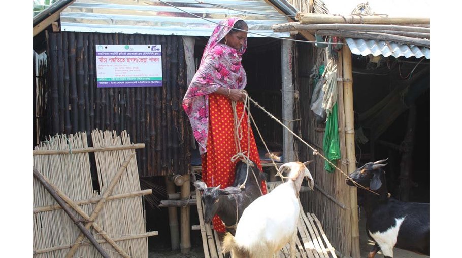 Char people choose new techniques to cope with floods - Bangladesh Post