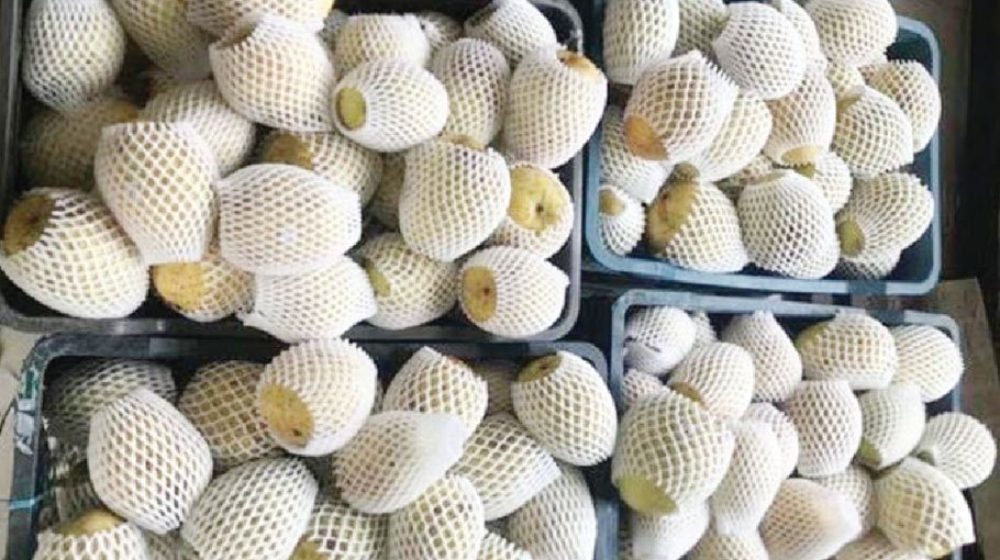 Rajshahi mango being exported to Russia for the first time - Bangladesh ...